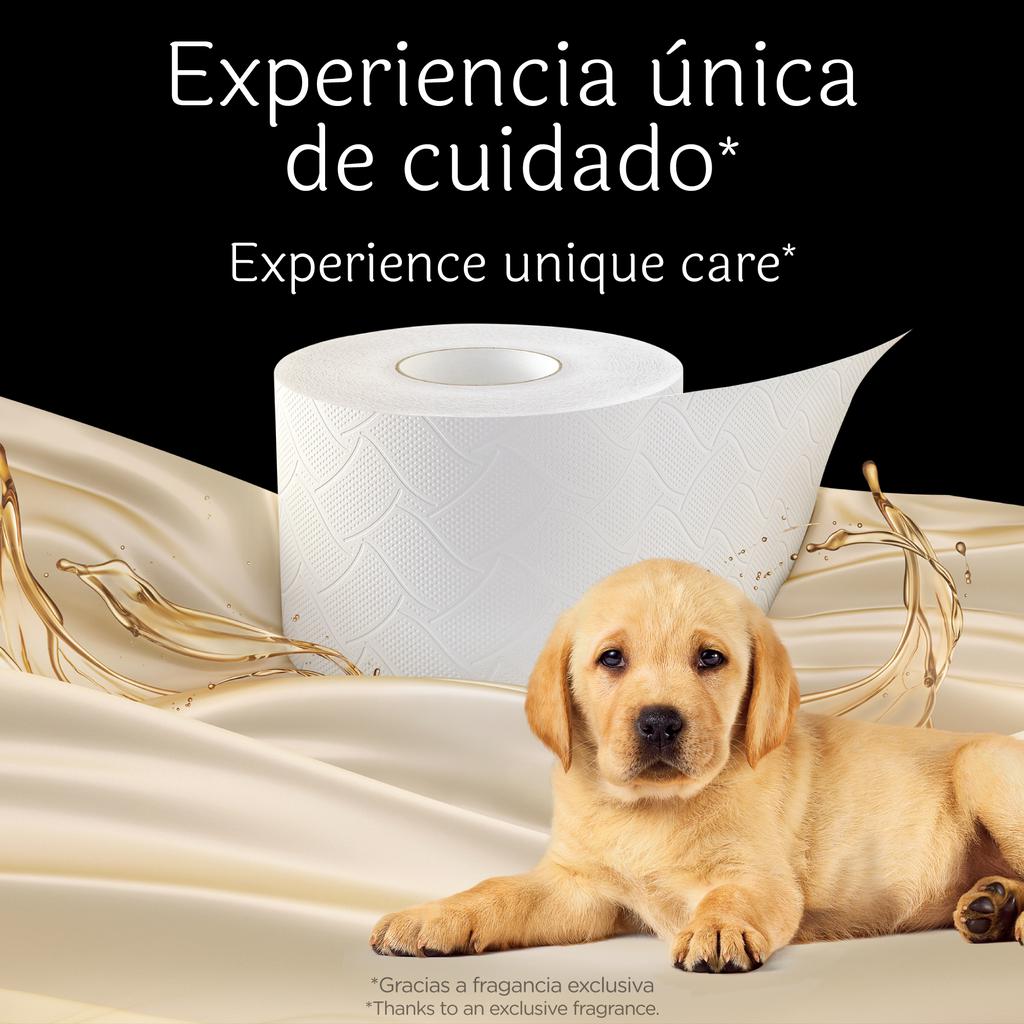 Scott Esencias Elegance Toilet Paper 32 Units / 350 Sheets | PriceSmart ...