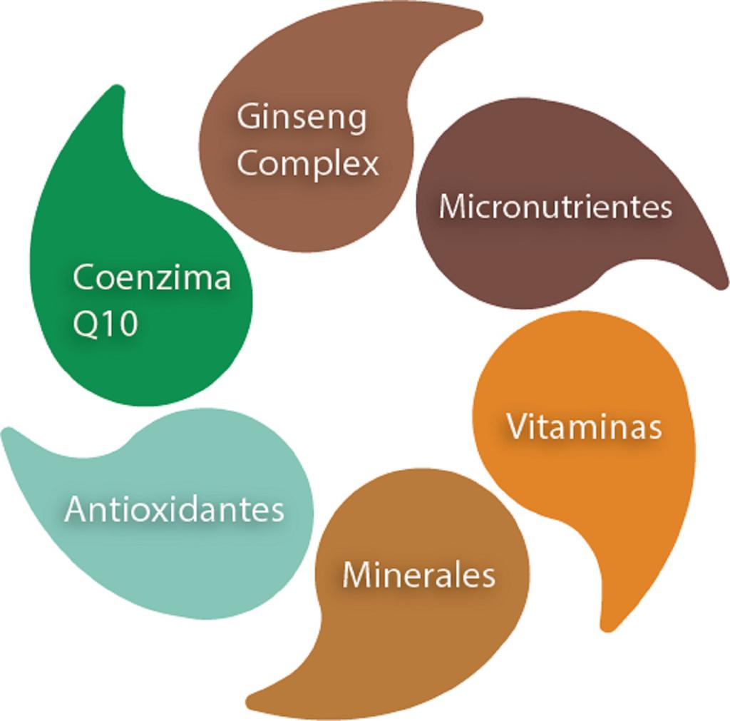 Immuvit Plus Q10 Suplemento Nutricional con Amplia Variedad de ...