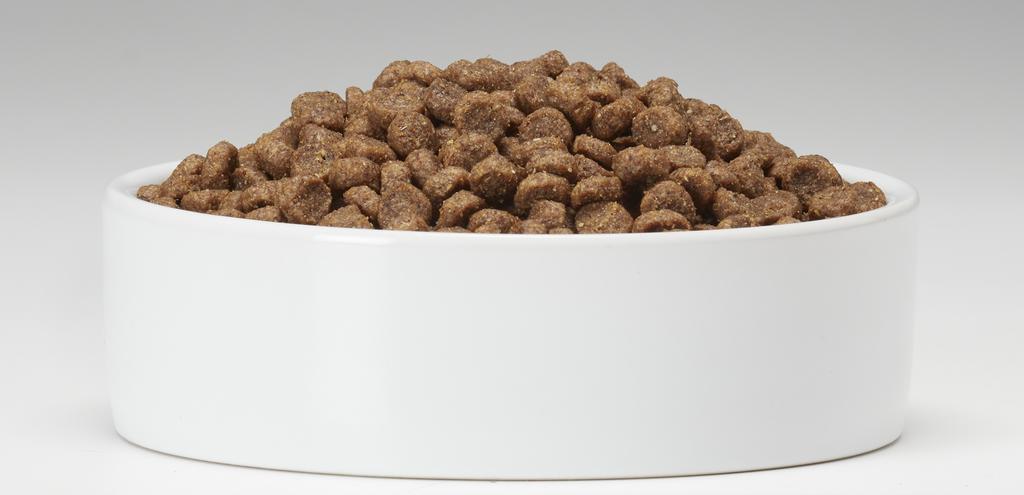 Member's Selection Small Breed Dog Food Oat and Chicken Flavor 9.07 kg ...